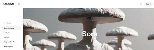 20+ Best AI Models for Seamless Integration and Scalable Impact